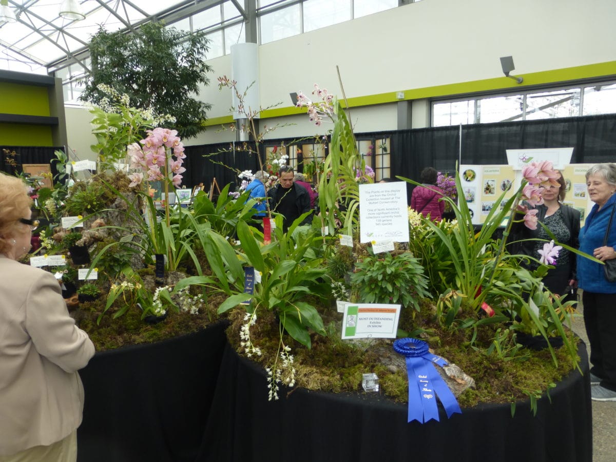 Other Ways You Can Help as a Member - Orchid Species Preservation ...